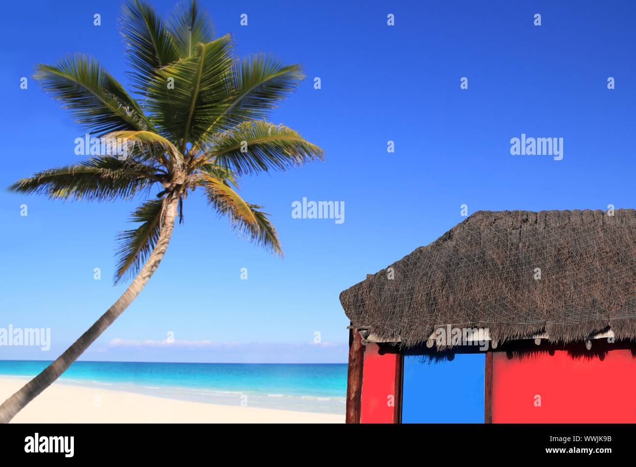 Caribbean sea coconut palm tree and red hut palapa cabin Stock Photo ...