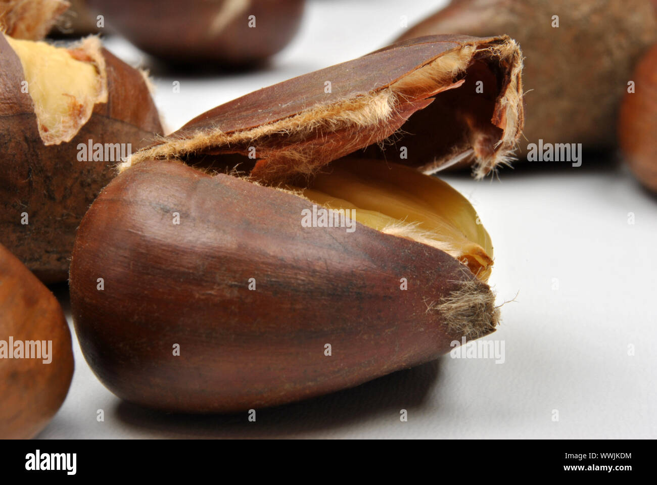 open organic sweet chestnut and white background Stock Photo - Alamy