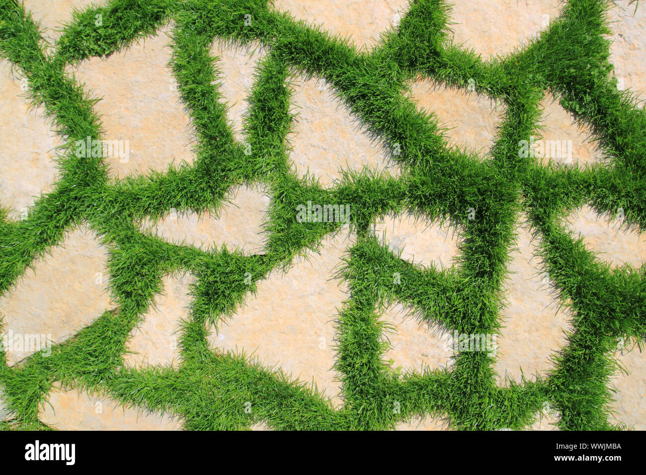 stone path in green grass garden texture elevated view Stock Photo - Alamy