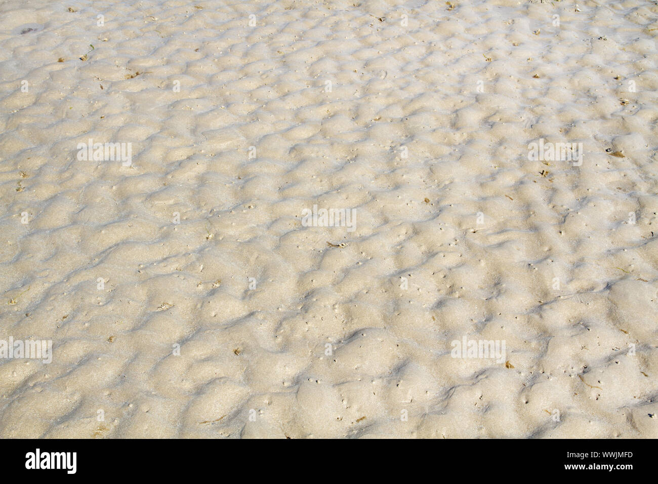 Sea sand, texture, background Stock Photo - Alamy