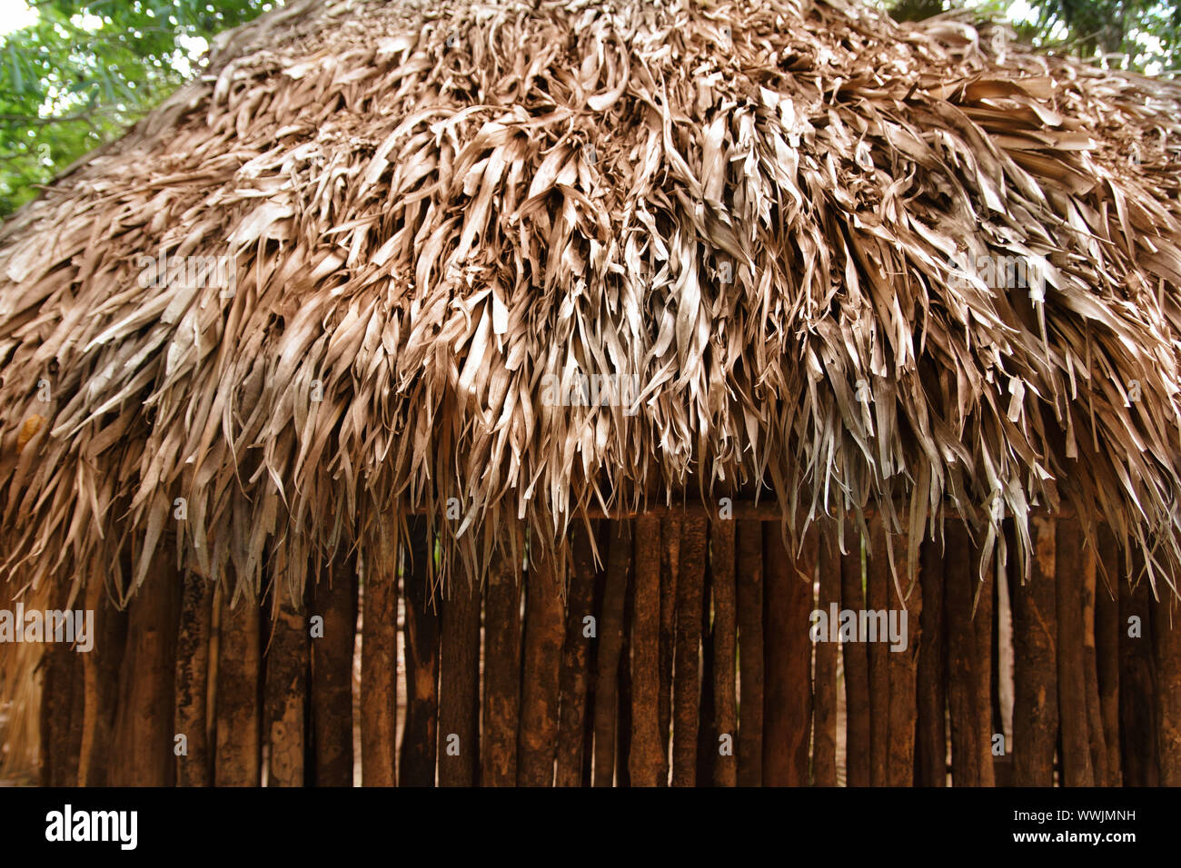 Hut palapa mexican jungle Mayan house roof wall detail Stock Photo - Alamy
