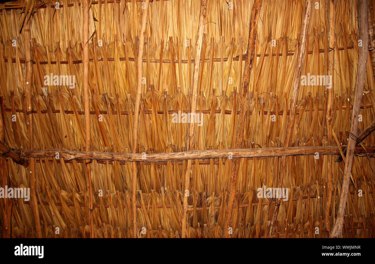Palm tree leaves in sunroof palapa hut traditional roofing in Mexico ...