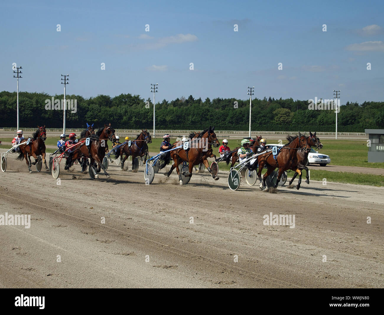 Trotting horses hi-res stock photography and images - Alamy