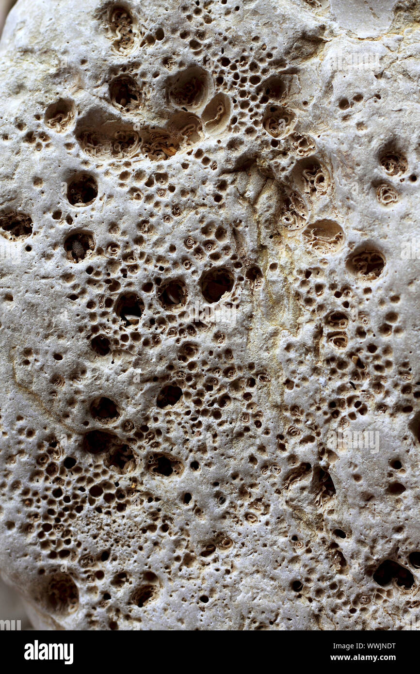 mediterranean coastal limestone aged Stock Photo - Alamy