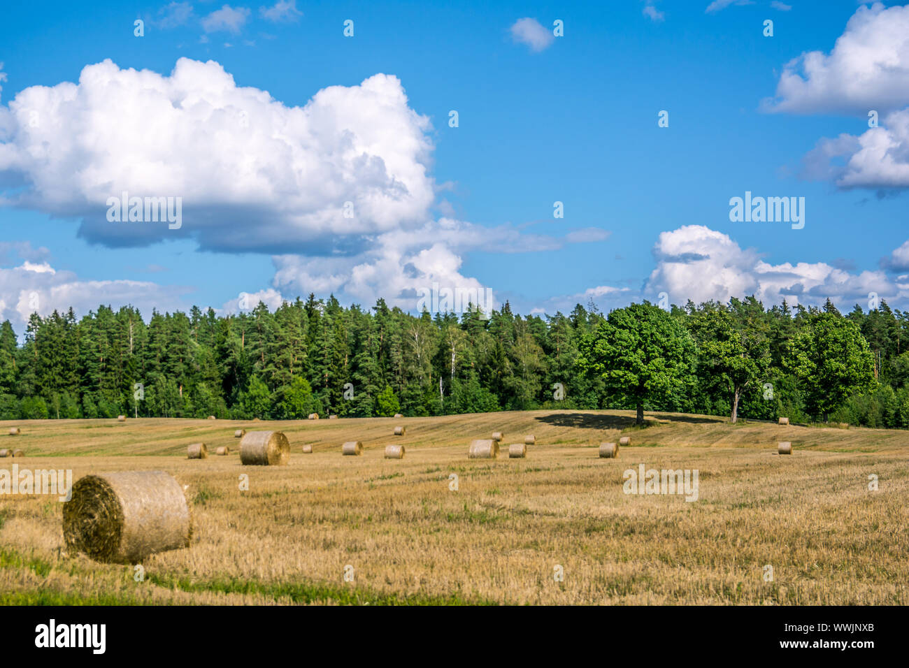 Fields after work in farm, outside the urban Stock Photo - Alamy