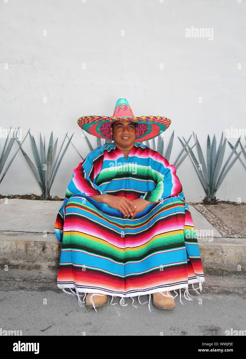 Mexican sombrero smiling man sitting with poncho in front of agave ...