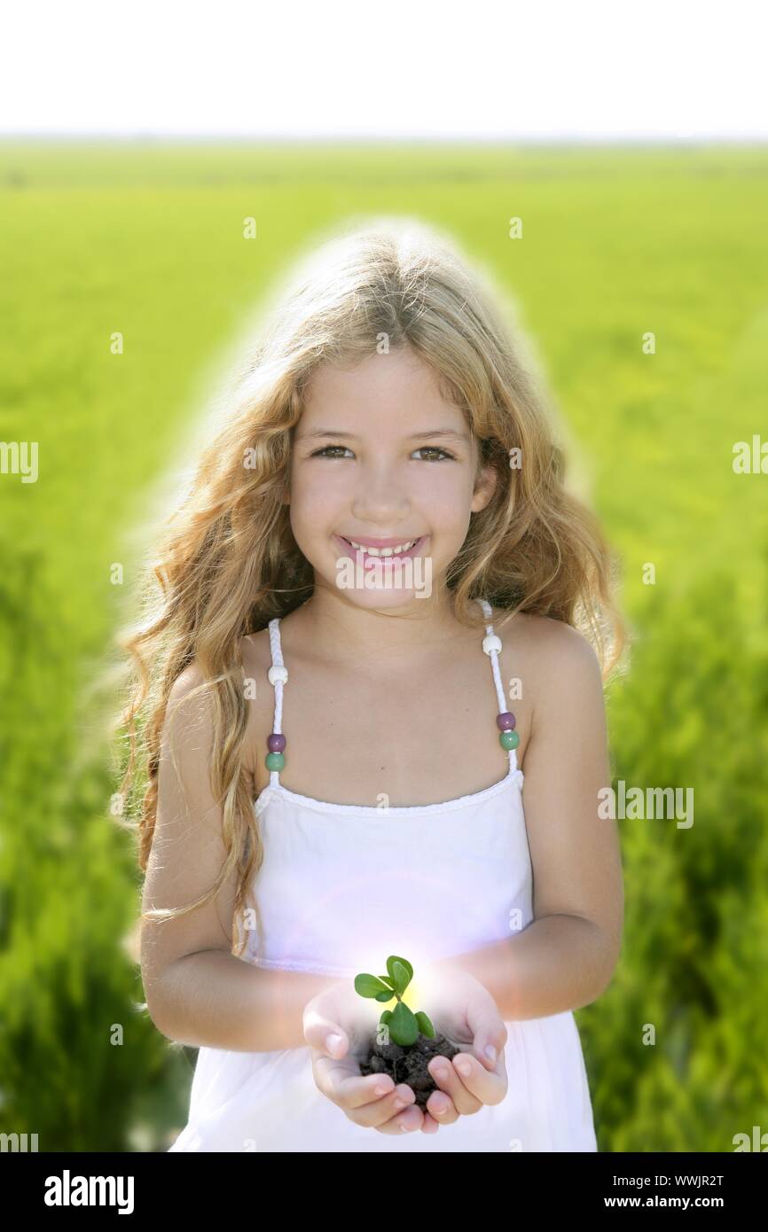 sprout plant growing from little girl hands outdoor rice field Stock ...