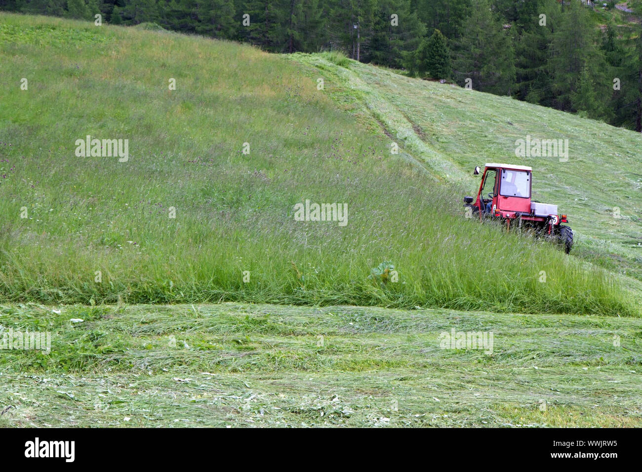 Tractor mows a spring meadow Stock Photo - Alamy