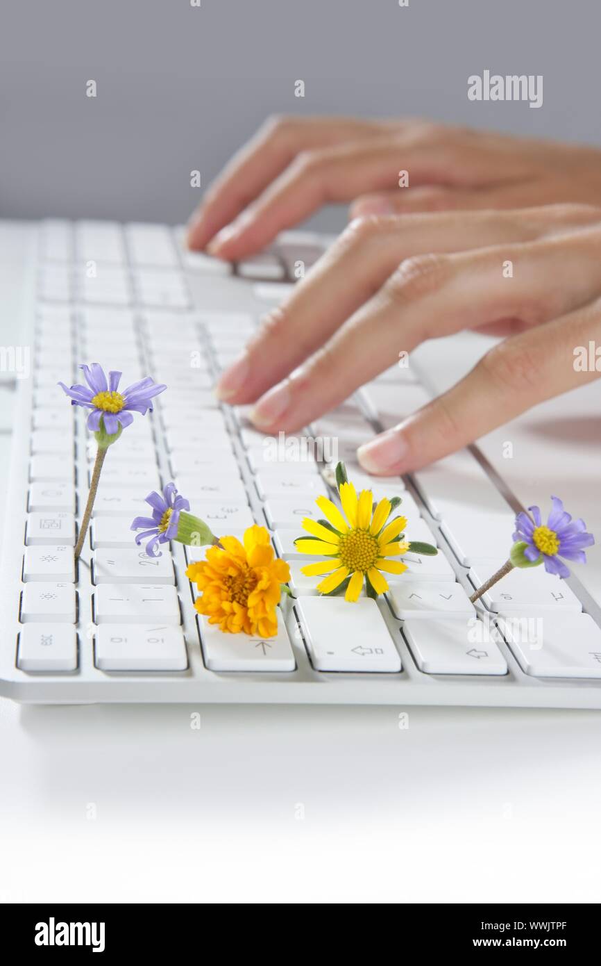 Ecology concept of woman hands typing a keyboard with flowers Stock ...