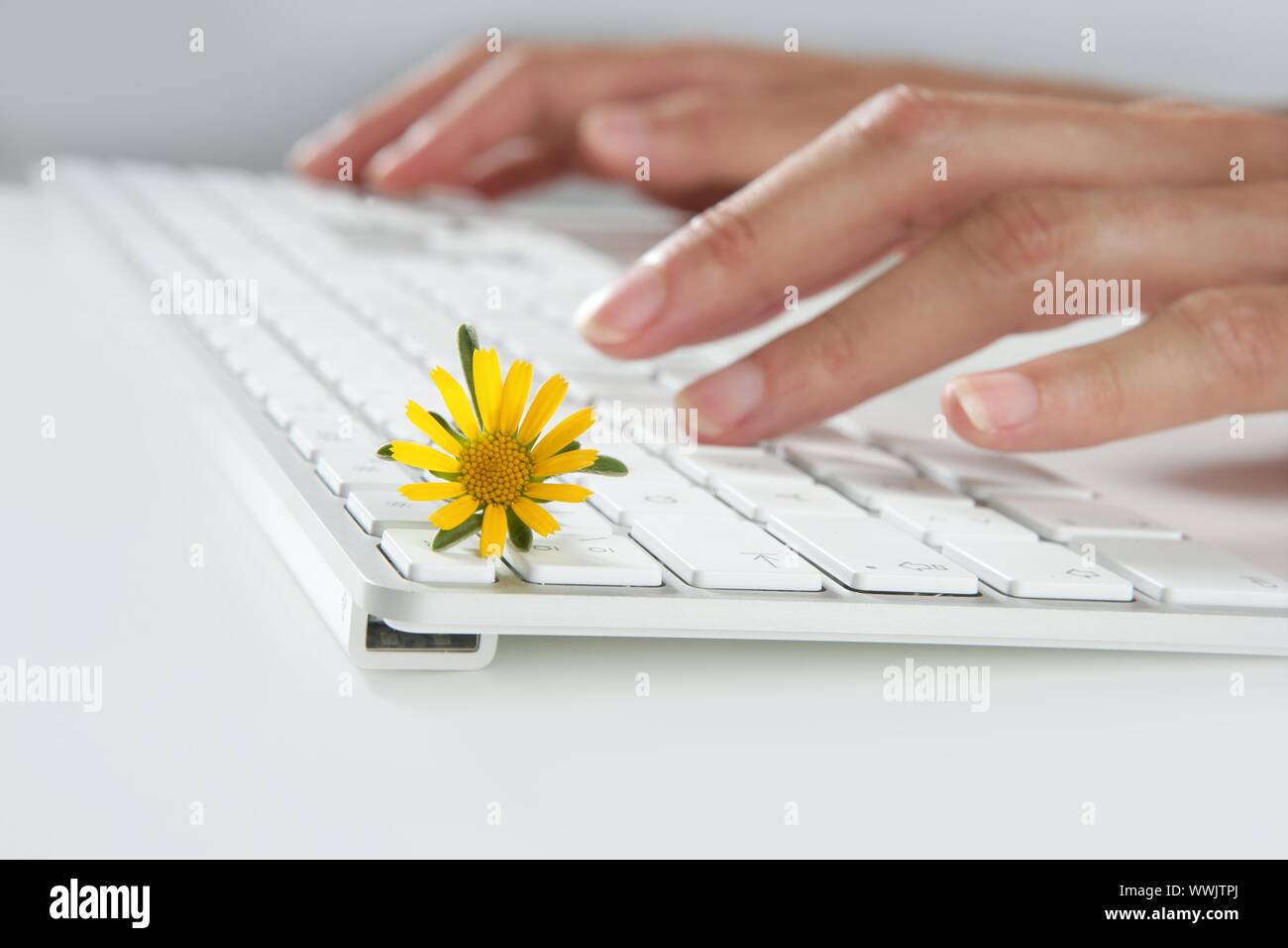 Woman hands yellow nails typing hi-res stock photography and images - Alamy