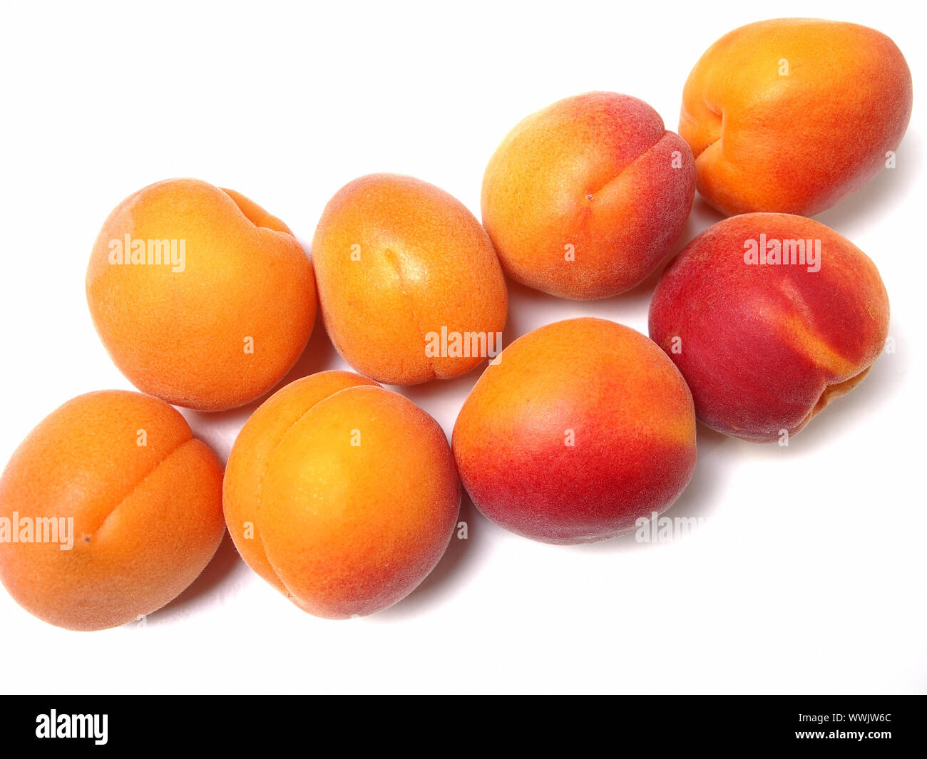 Free fresh Cut Out Stock Images & Pictures - Alamy