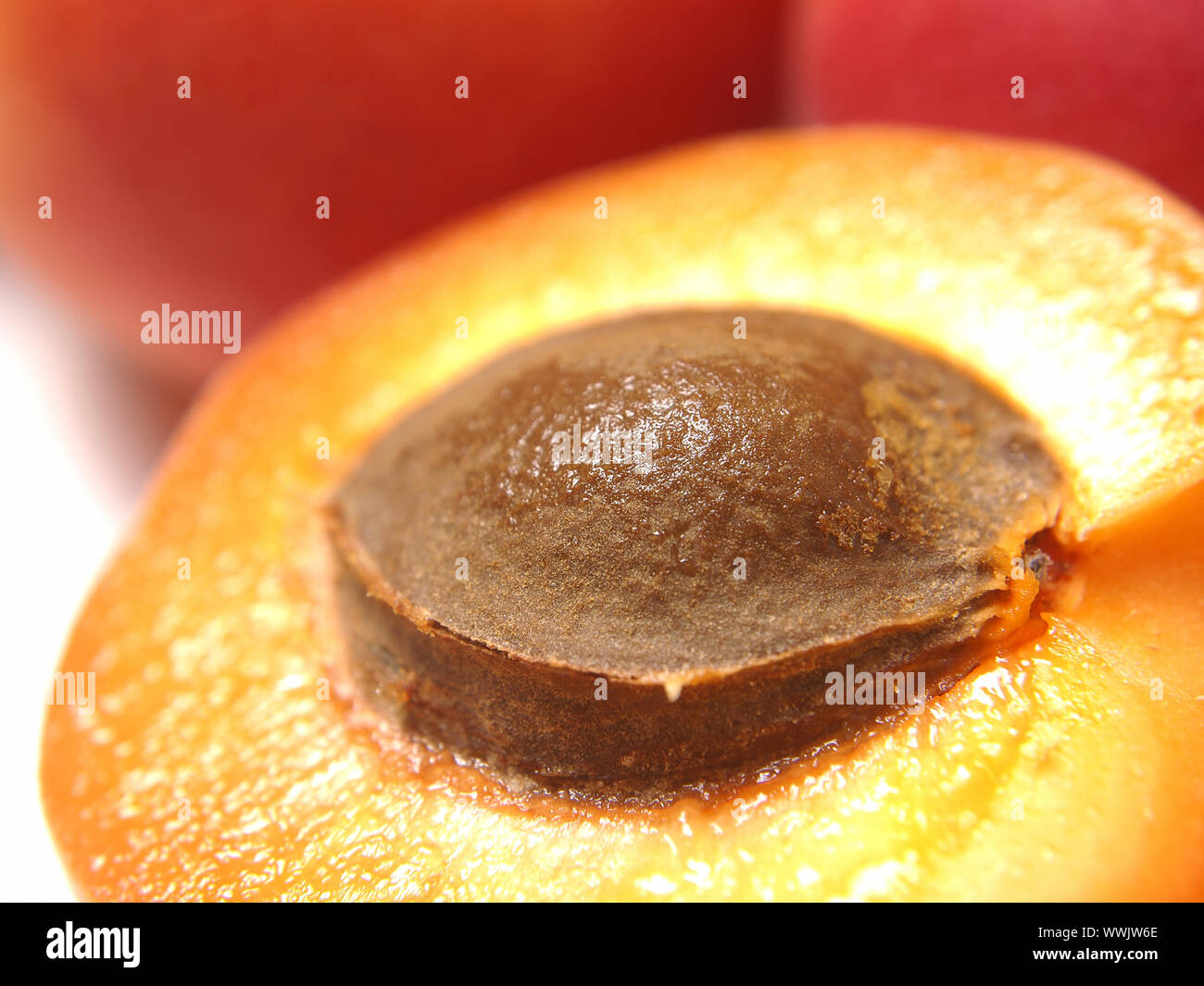 Food cross section hi-res stock photography and images - Alamy