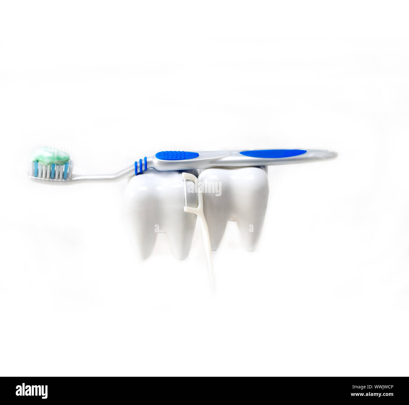 two fake teeth with brush and floss closeup isolated on white Stock ...