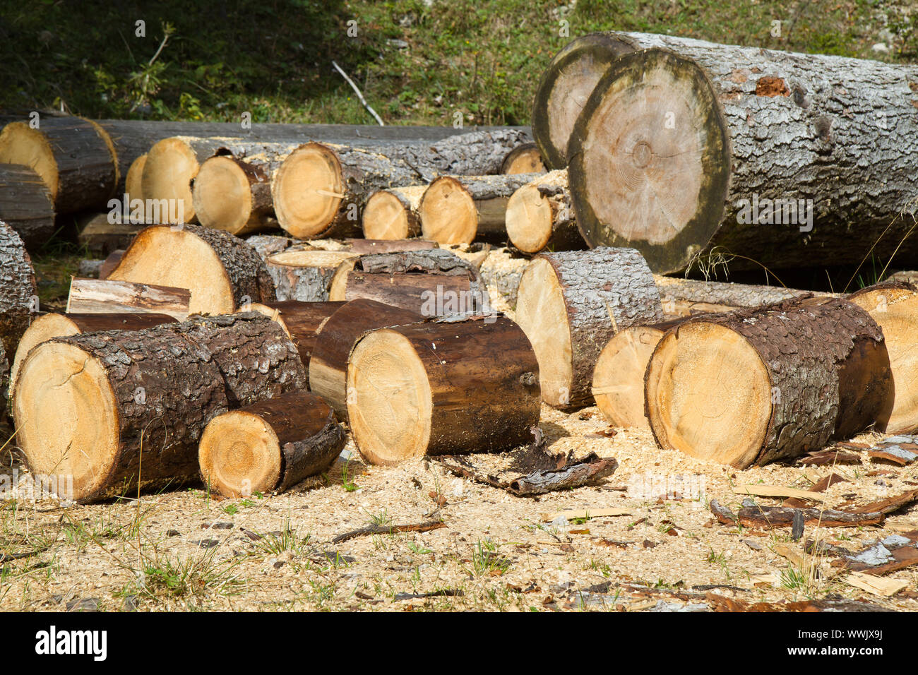 Wood yard in the Alps, Bavaria Stock Photo - Alamy