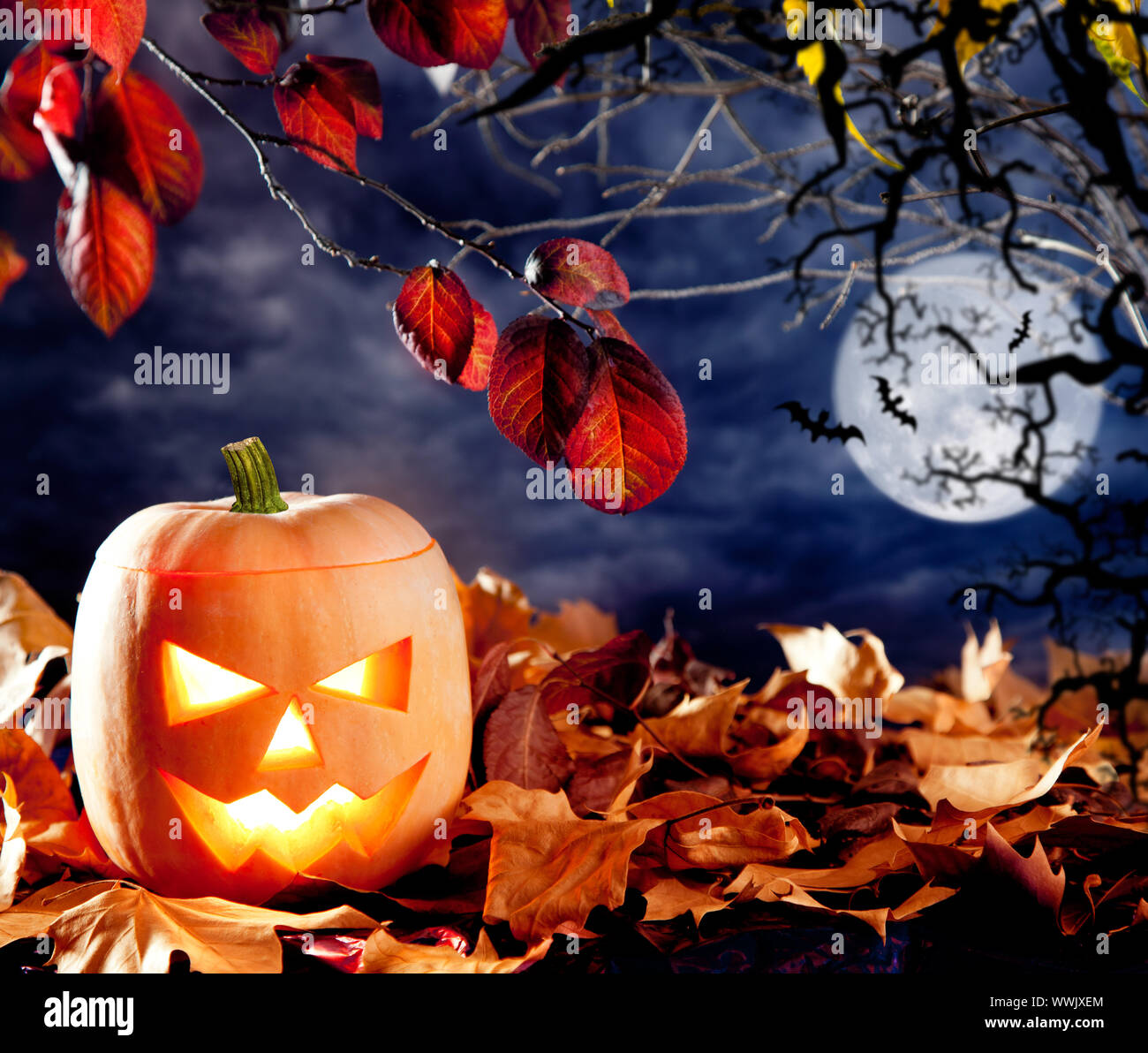 halloween lantern pumpkin in dark sky clouds moonlight Stock Photo - Alamy