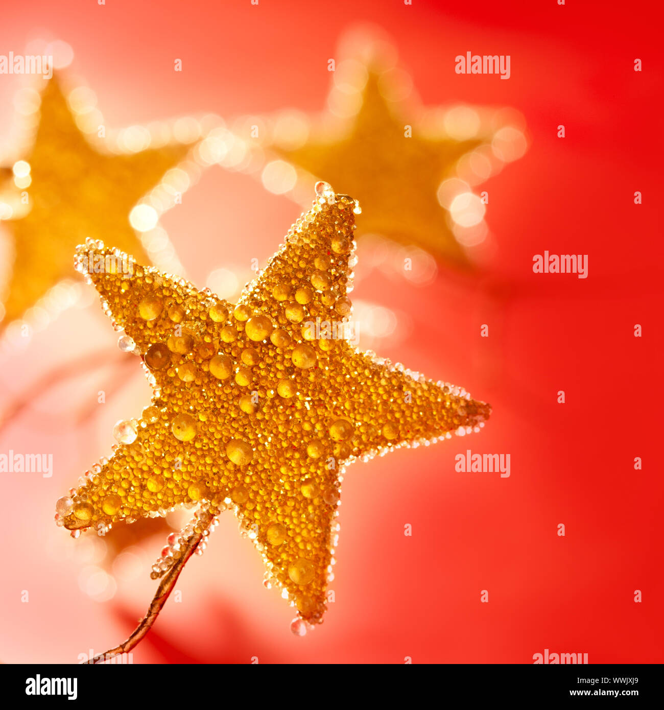 christmas golden drops star in red background Stock Photo - Alamy