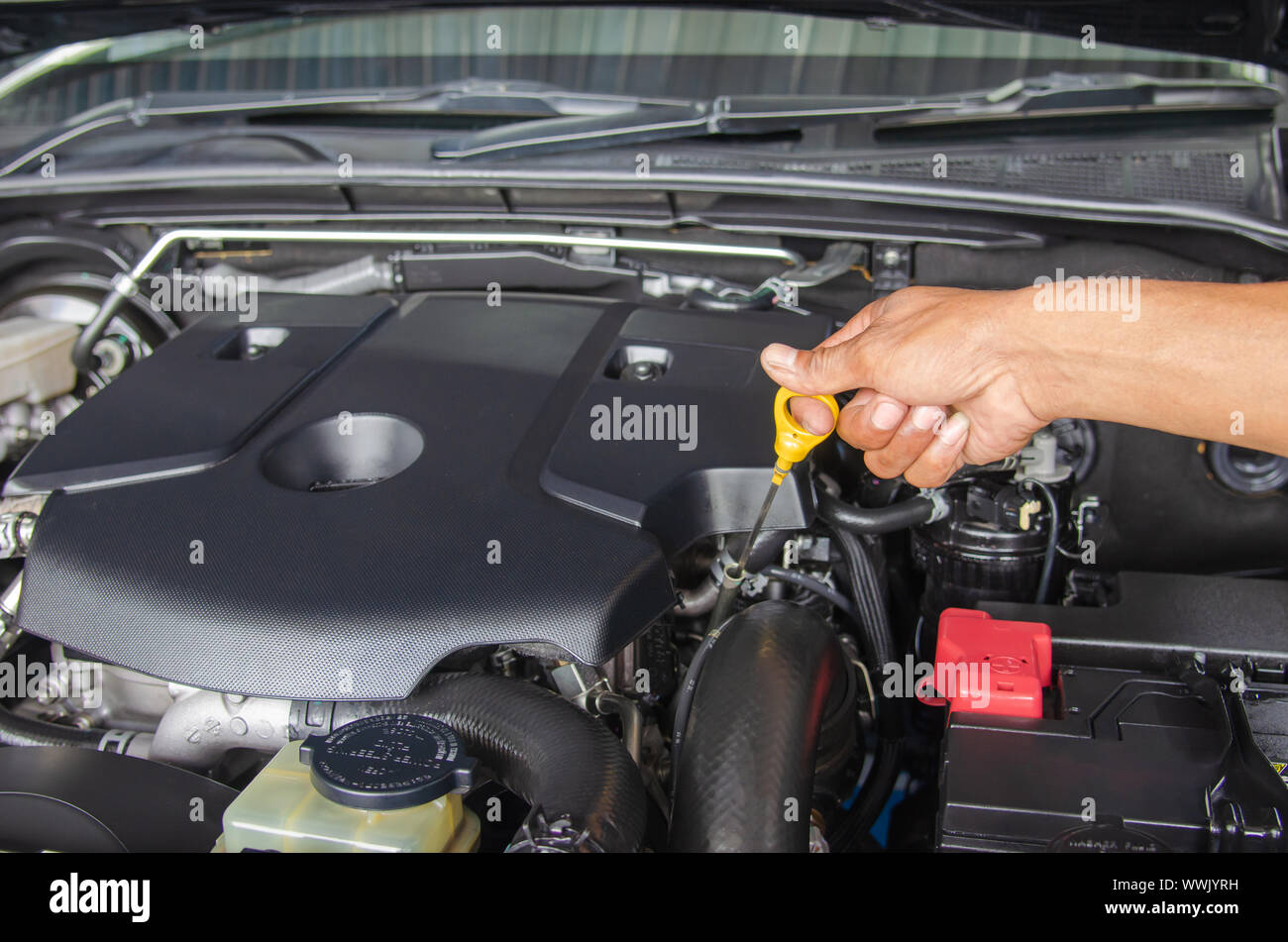 mechanic's hand is checking the engine oil, checking the safety of the ...