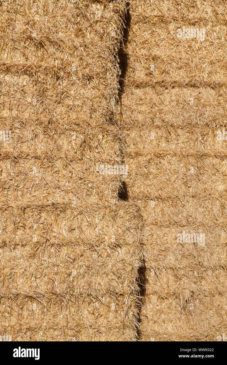 Pressed straw bales as background Stock Photo - Alamy