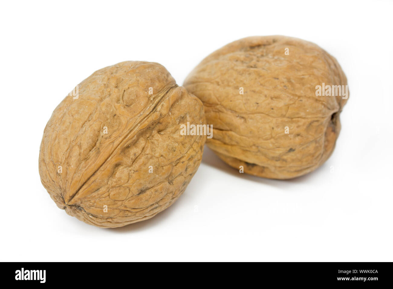 Two walnuts on white background Stock Photo - Alamy
