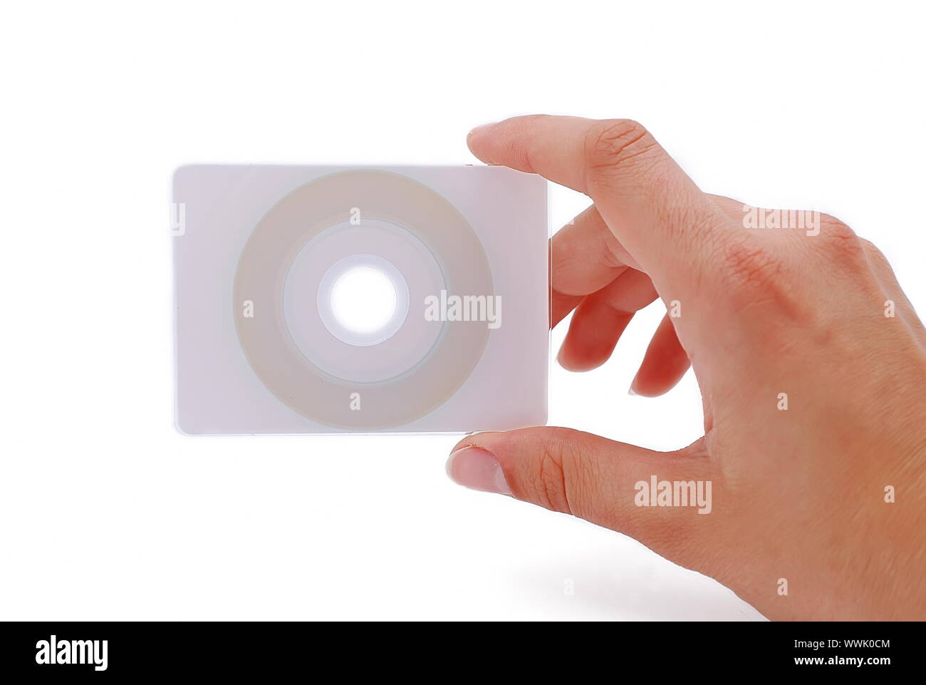 cd business card in his hand on a white background Stock Photo - Alamy