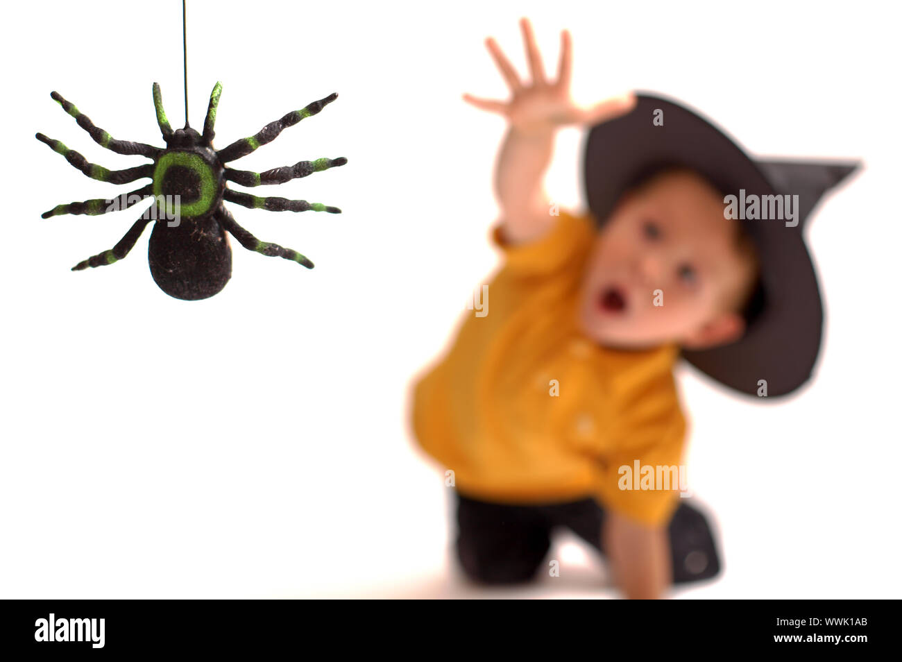 Spider hunting. Isolated image of black spider and small cute boy in ...