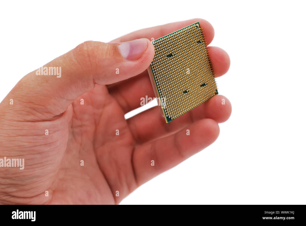 processor in hand on a white background Stock Photo - Alamy