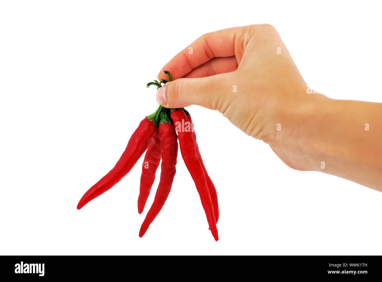 red chili peppers in hand on a white background Stock Photo - Alamy