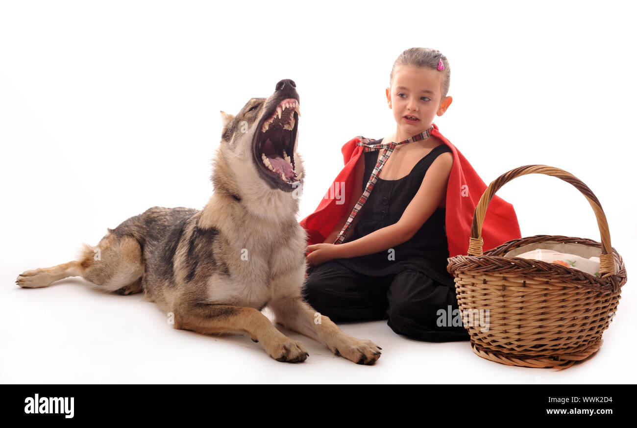 Little Red Riding Hood and angry wolf Stock Photo - Alamy