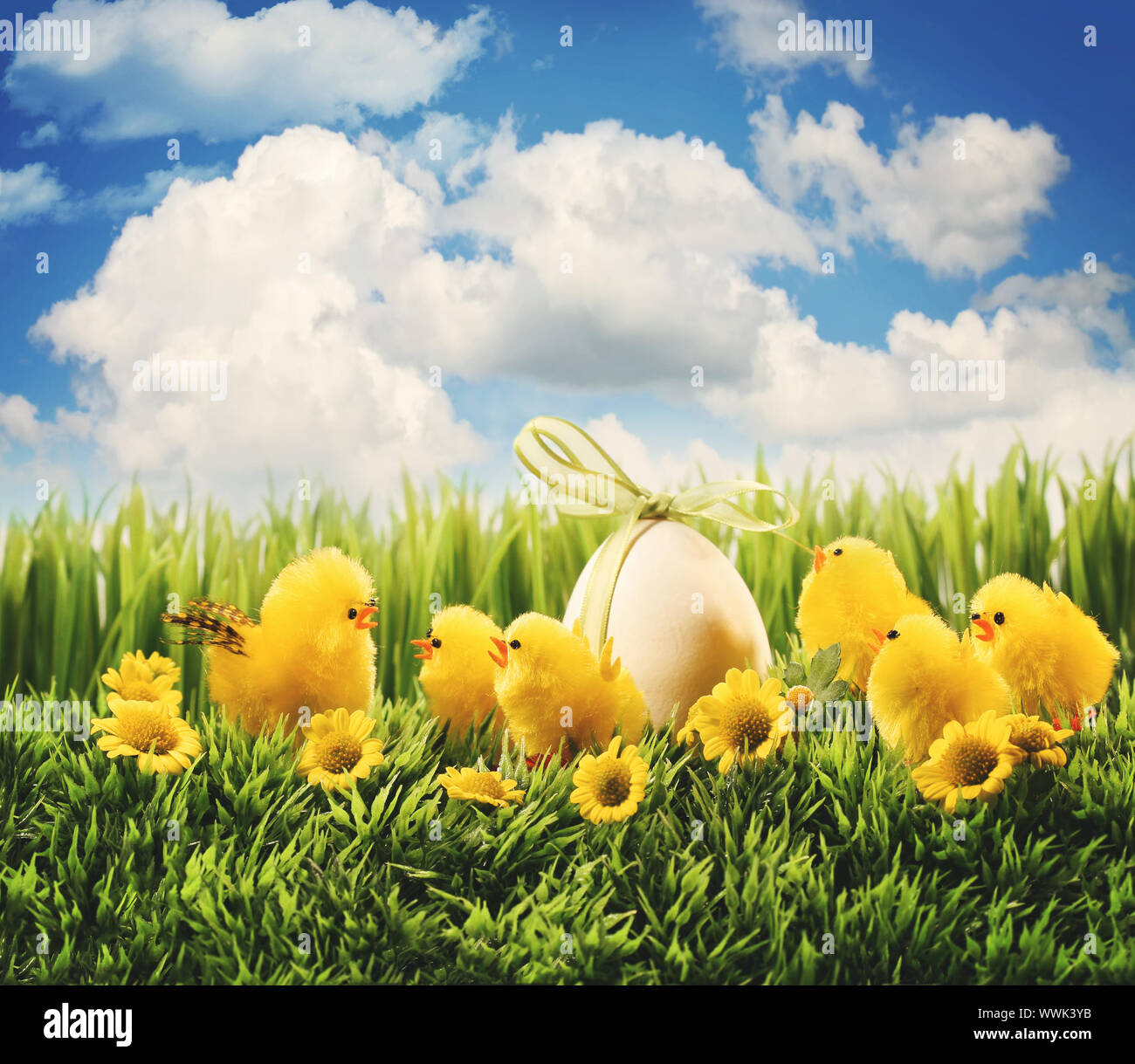 Easter chicks hi-res stock photography and images - Alamy