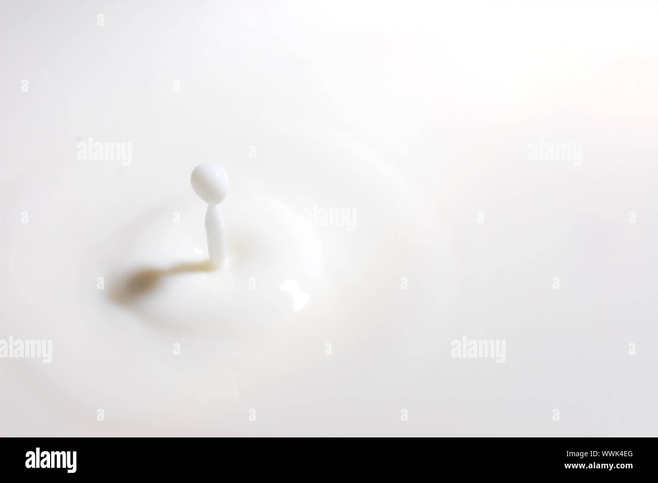 drop of milk splashes into fresh milk Stock Photo - Alamy