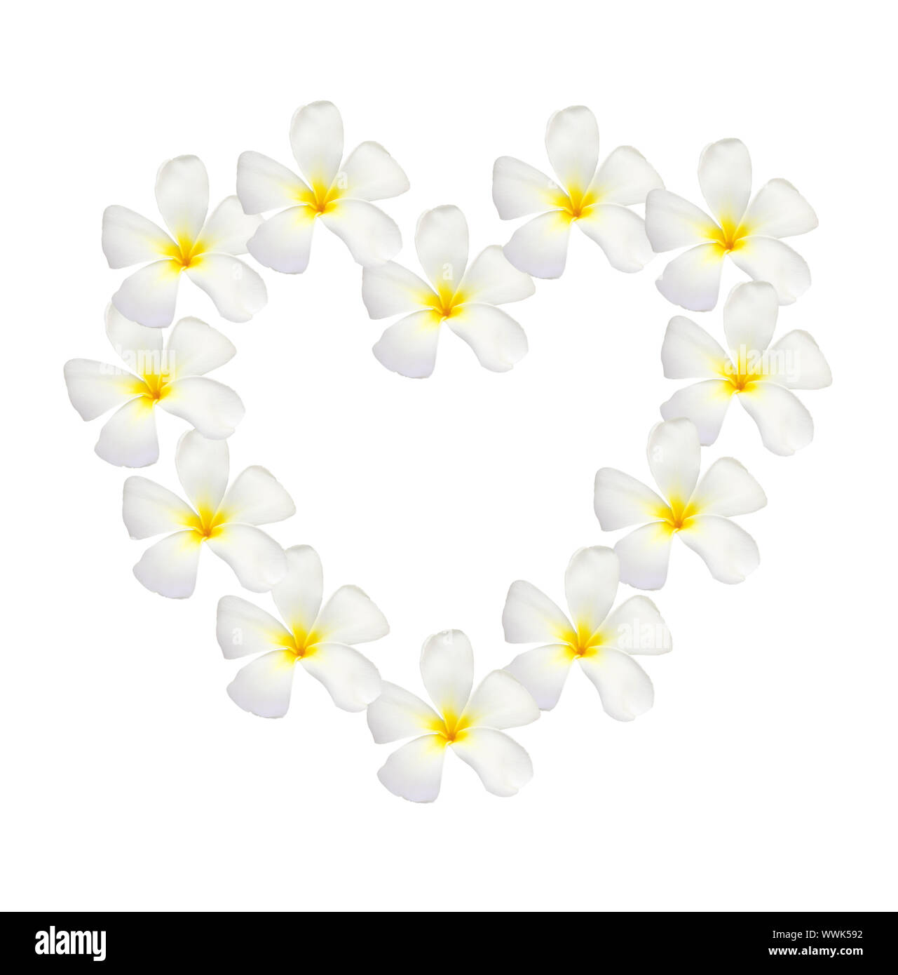 Frangipani park Cut Out Stock Images & Pictures - Alamy