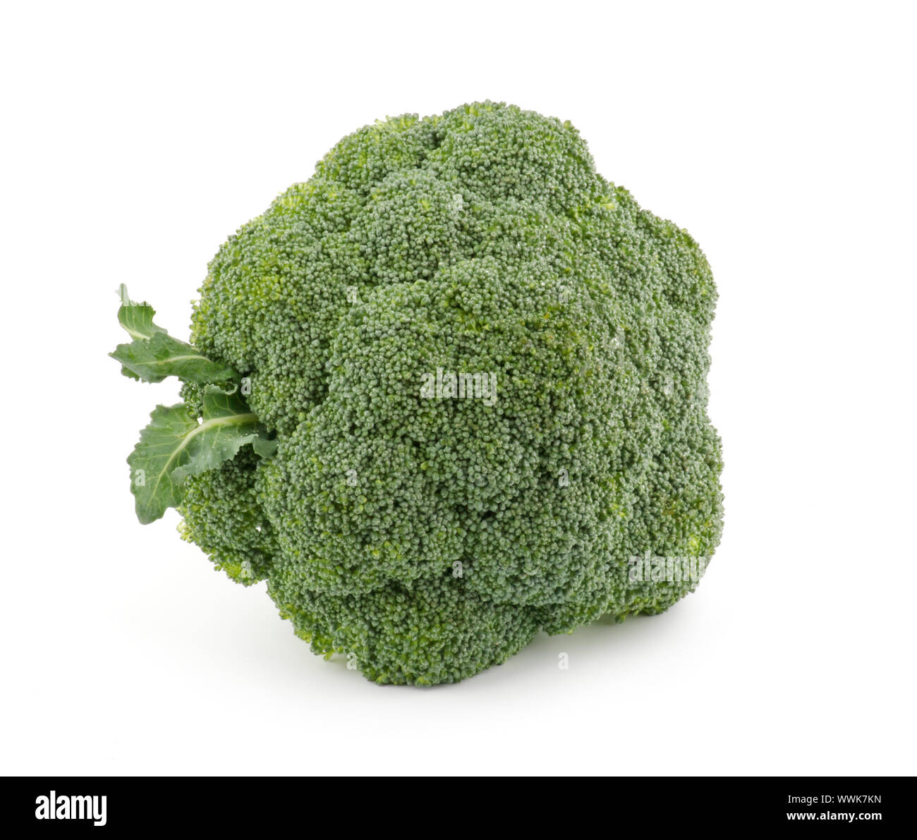 Single broccoli floret isolated on white background Stock Photo - Alamy