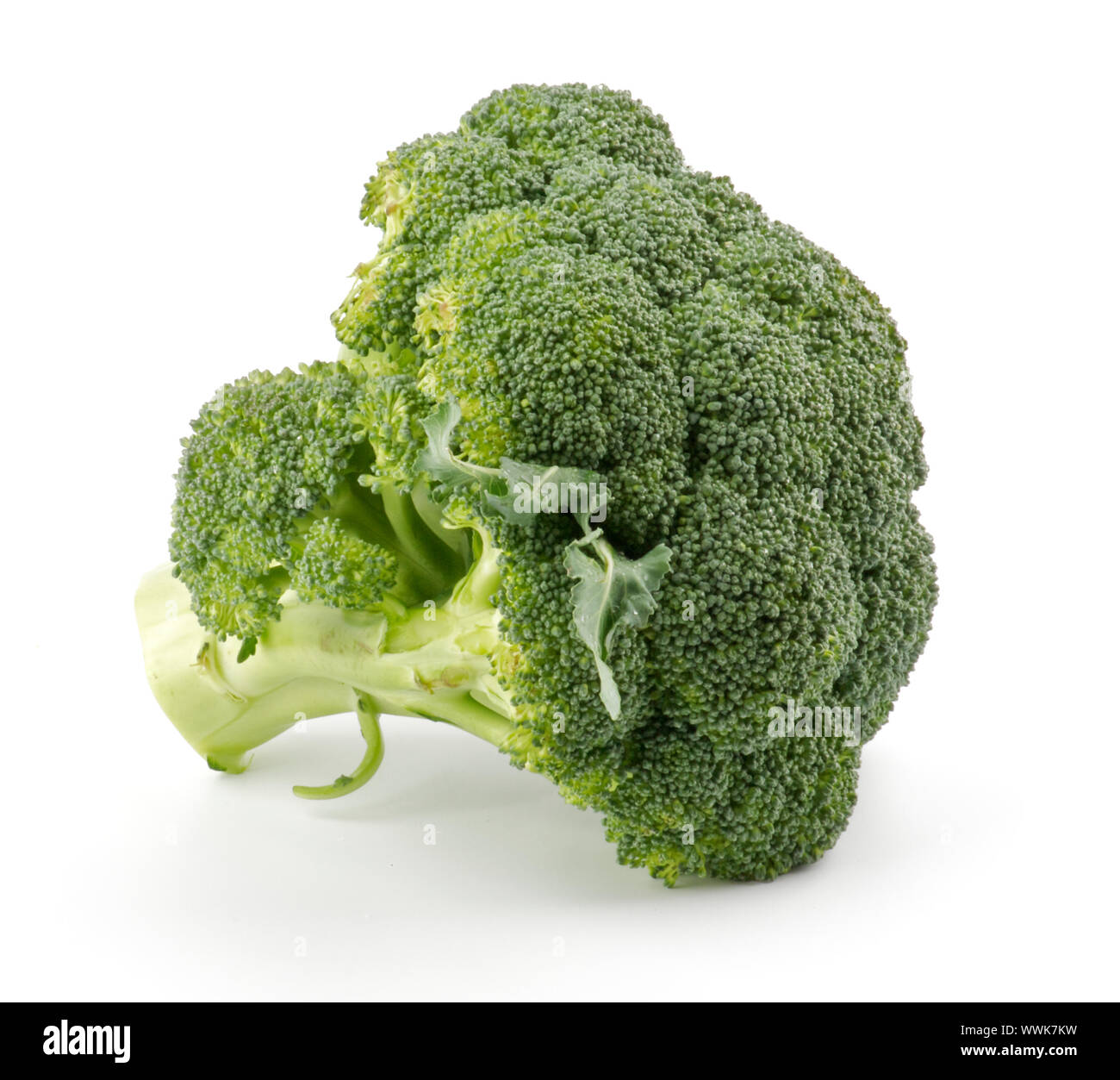 Single broccoli floret isolated on white background Stock Photo - Alamy