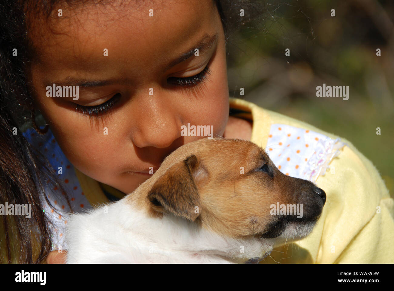 little girl and her very young puppy jack russel terrier Stock Photo ...