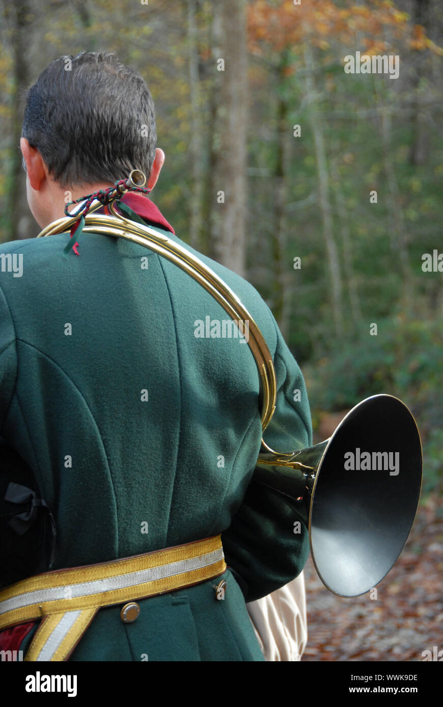 back of hunter in a traditional fox hunting with horn Stock Photo - Alamy