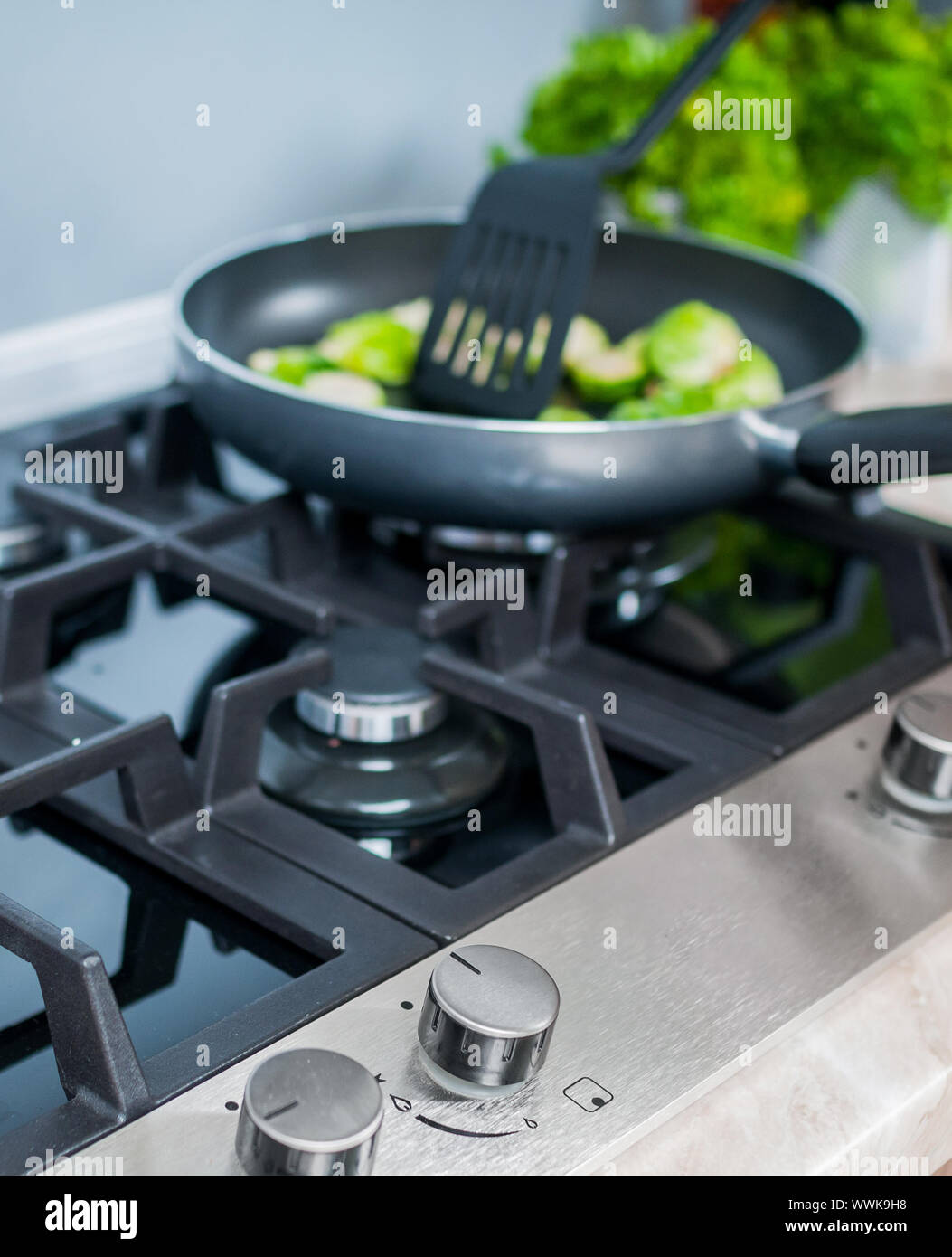 gas-stove with vegetables dish prepared in a black skillet in the ...