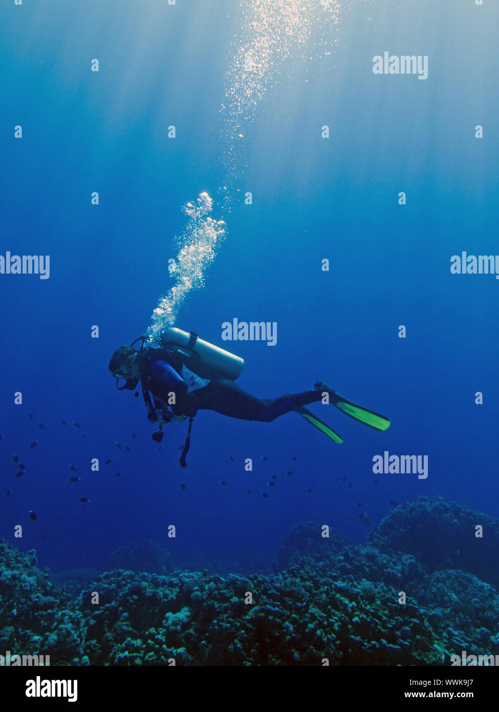 Female diver hi-res stock photography and images - Alamy