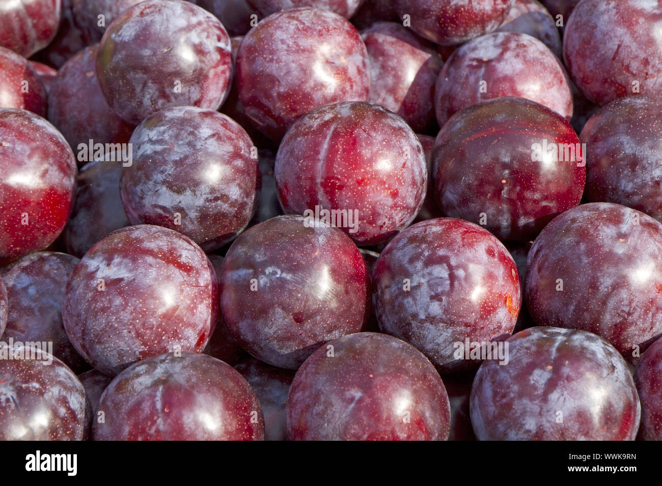 Plums, full size Stock Photo - Alamy