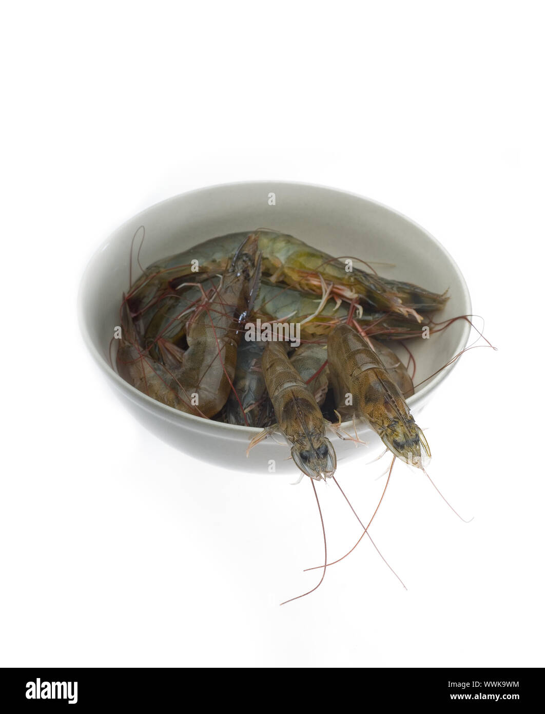 raw fresh alive shrimps on a bowl over white background Stock Photo - Alamy
