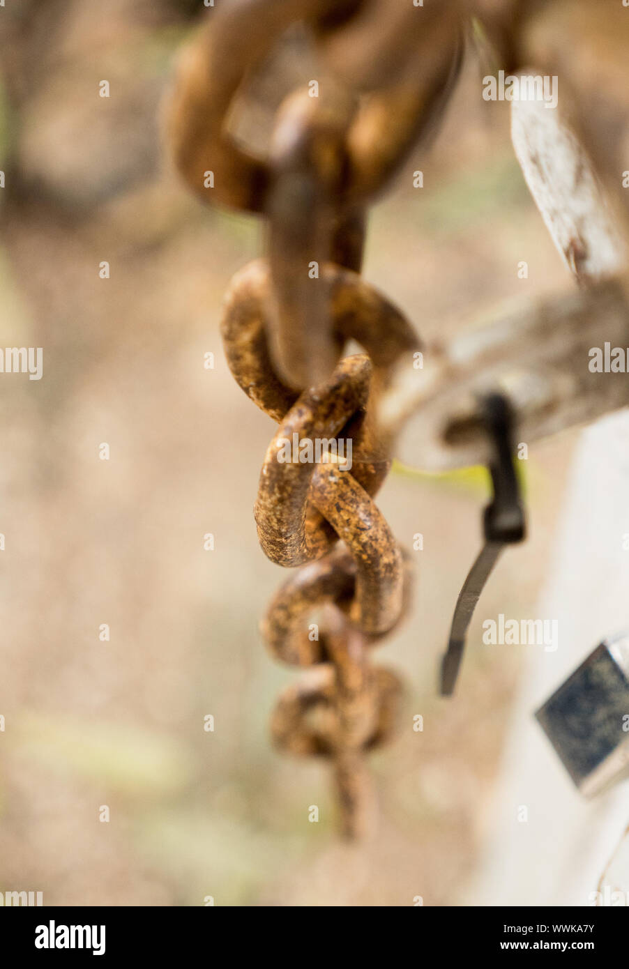 rusty chain and metal lock on the fence gate Stock Photo - Alamy