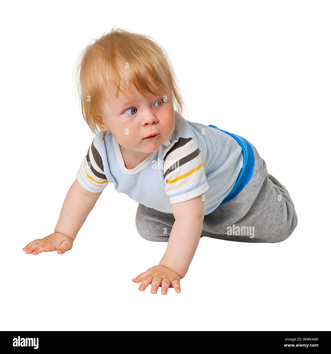 The little boy crawling on white background Stock Photo - Alamy