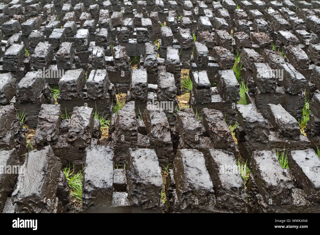 Peat cutting in raised bog in Bavaria Stock Photo - Alamy