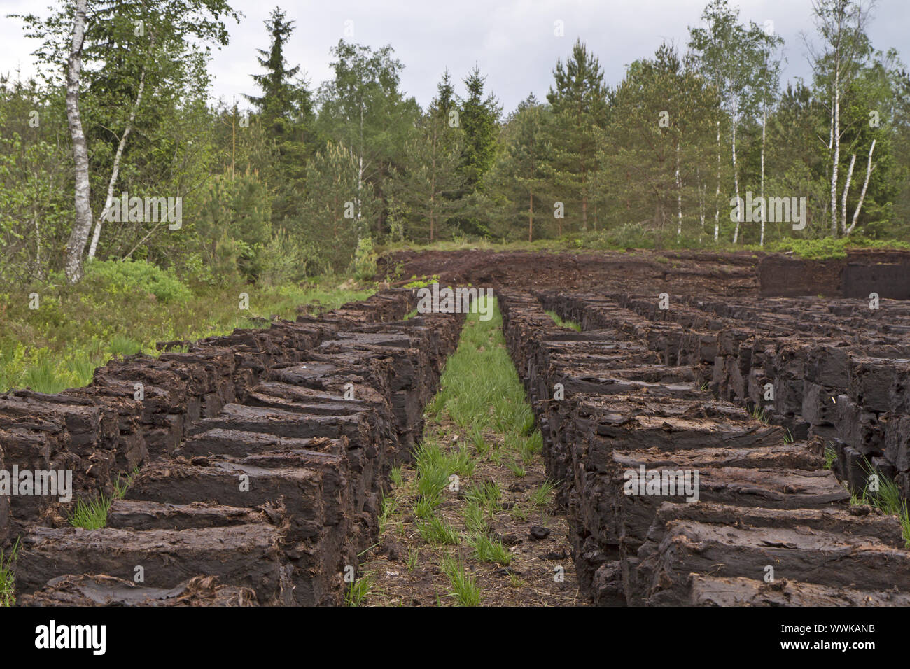 Peat cutting tool hi-res stock photography and images - Alamy