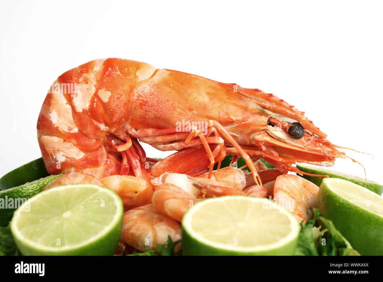 shrimp background macro close up Stock Photo - Alamy