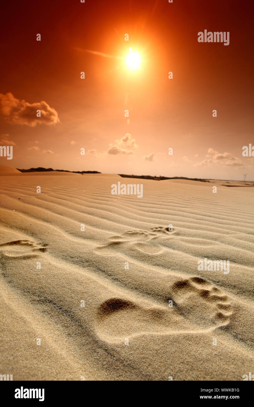 footprint on desert sand Stock Photo - Alamy