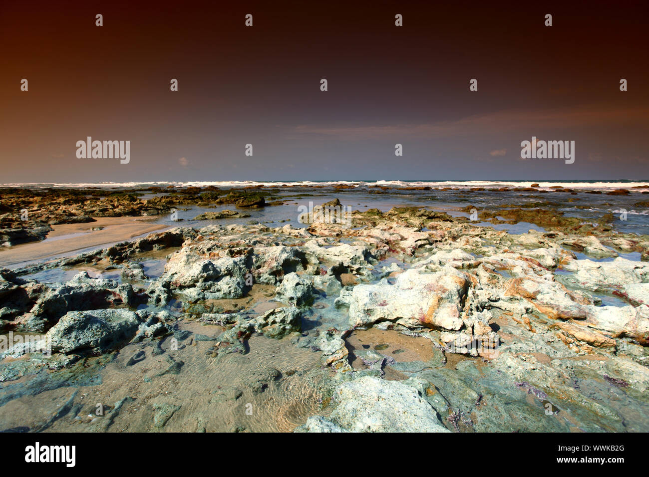 Reef stones an ocean water Stock Photo - Alamy