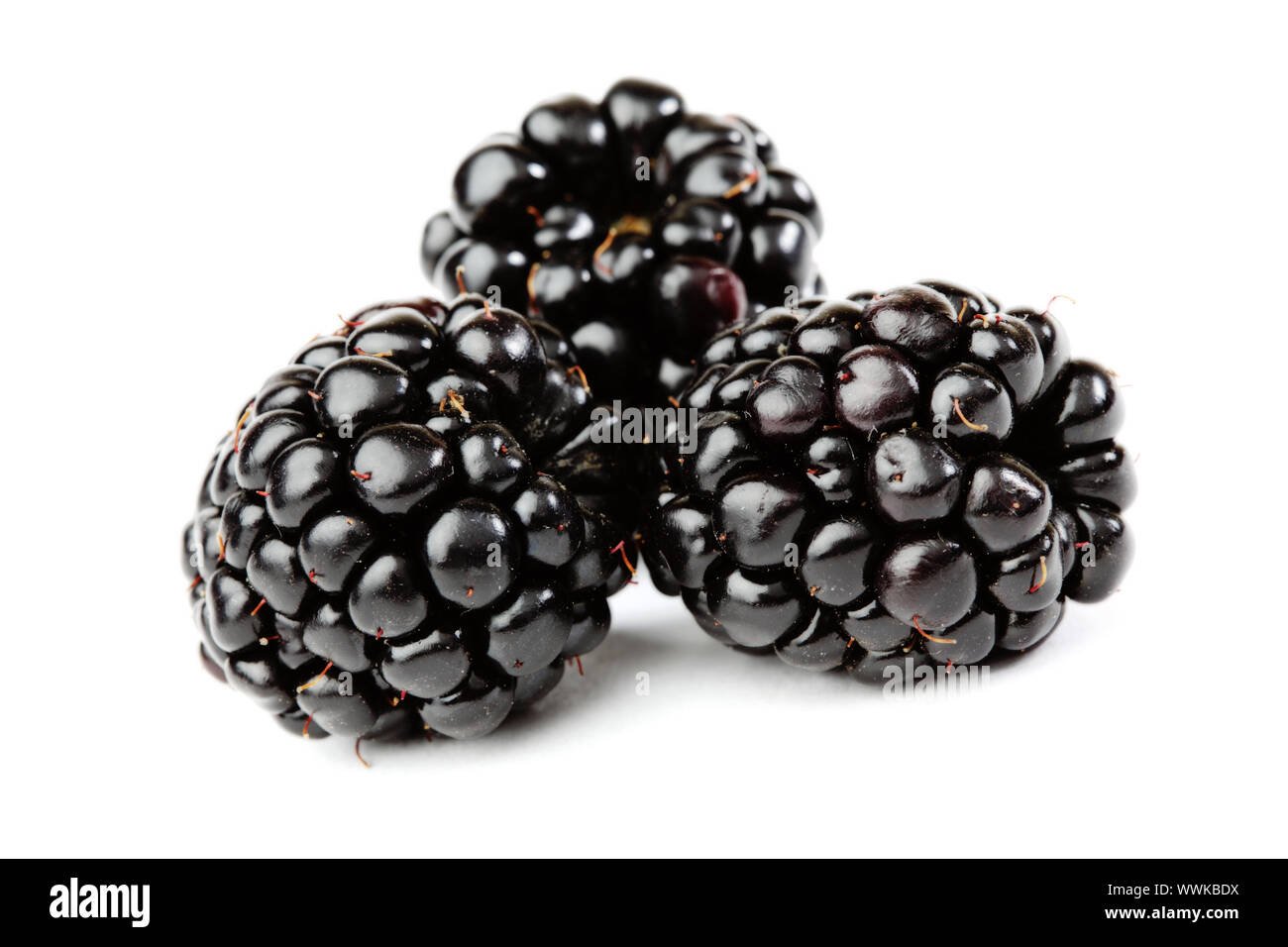 blackberry isolated on white background Stock Photo - Alamy