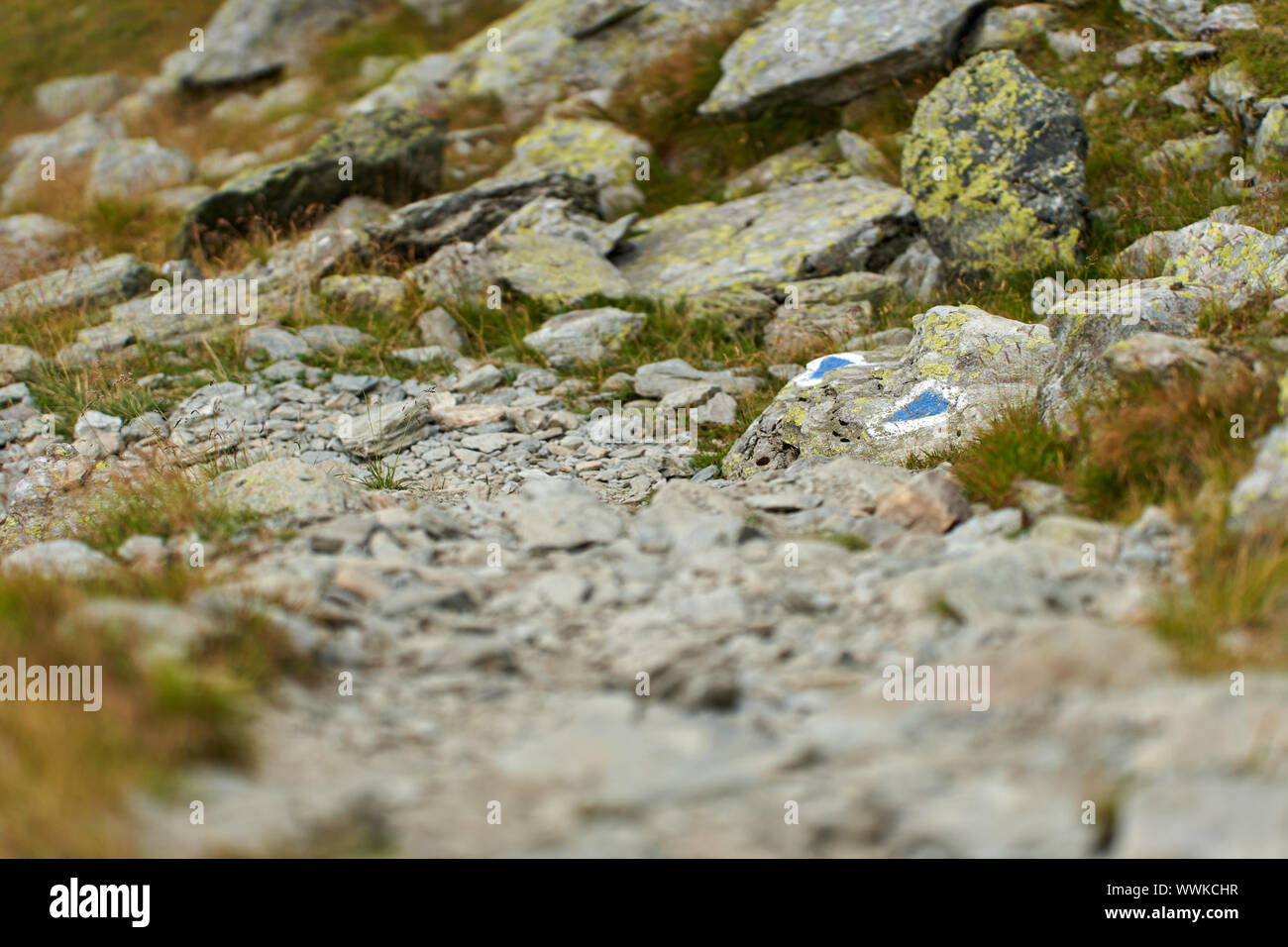 Empty mountain hiking trail in the high alps Stock Photo - Alamy