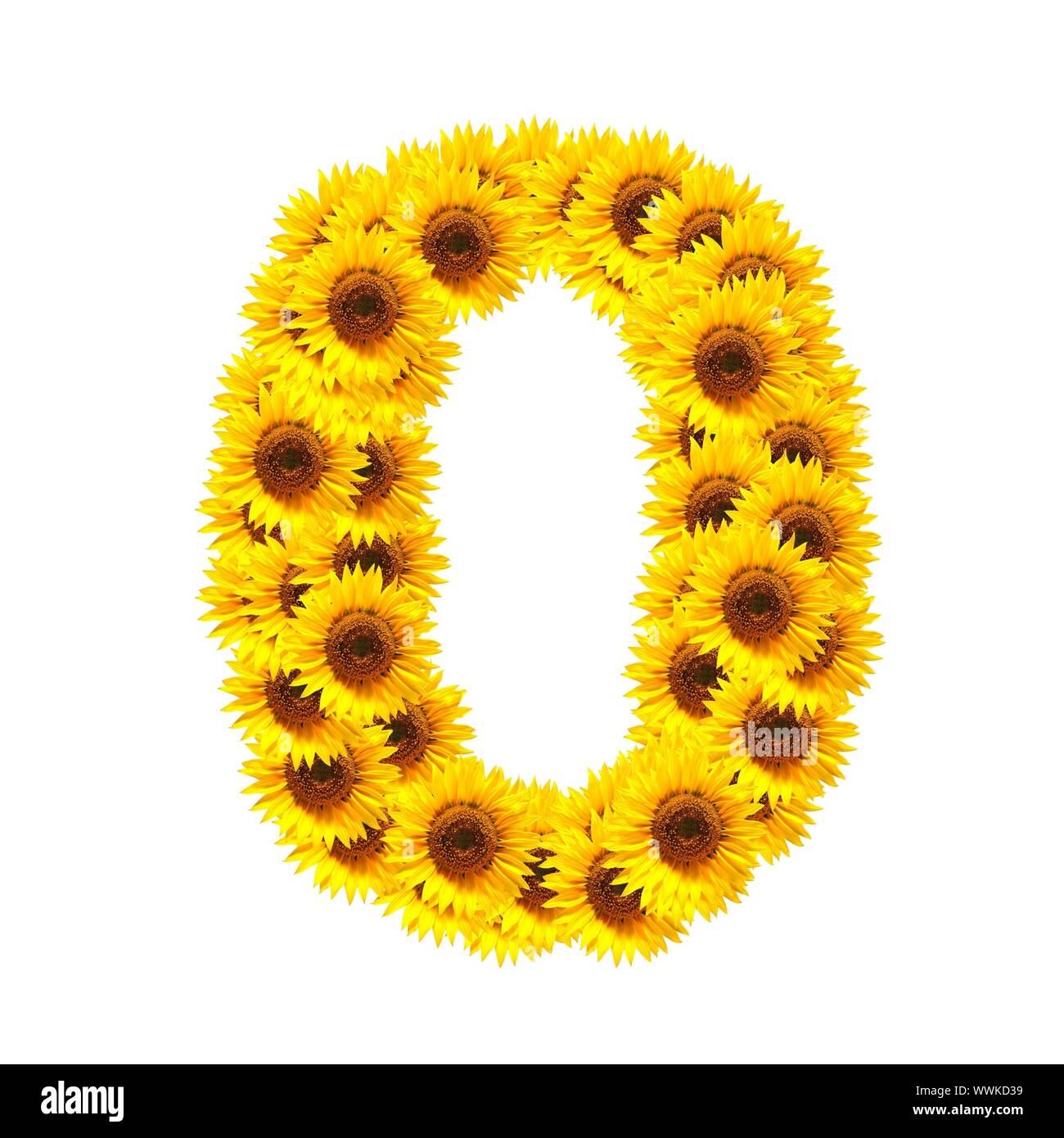 flower alphabet and numbers with sunflowers isolated on white ...