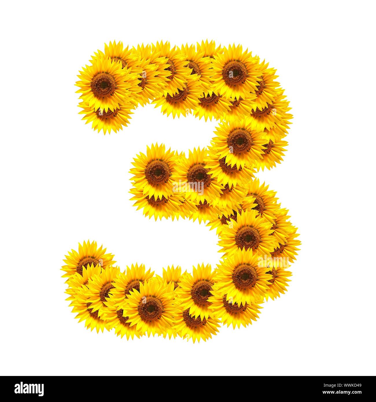 flower alphabet and numbers with sunflowers isolated on white ...